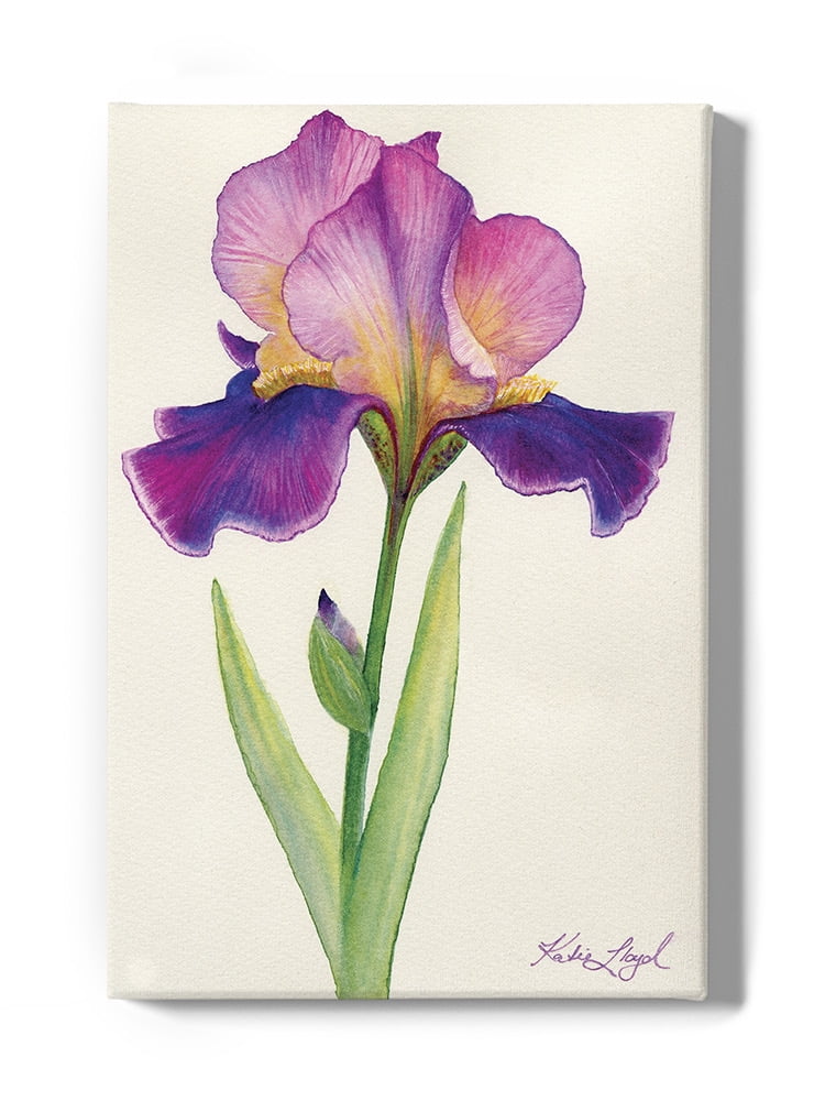Artshine Lizzy Pink And Purple Iris Wrapped Canvas -Katie Lloyd Designs ...