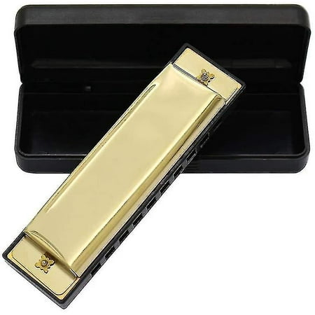 10 Hole Harmonica 20 Tunes Professional Metal Diatonic Harmonica ...