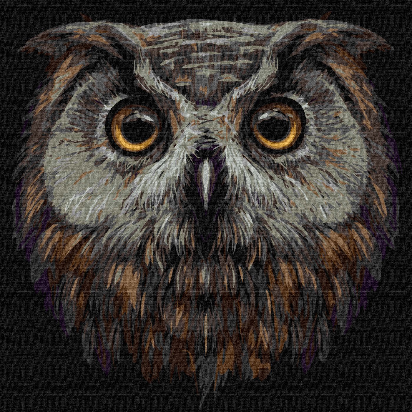Painting by Numbers kit Bird of wisdom KHO4388 - Walmart.com
