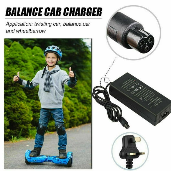 Hoverboard Charger