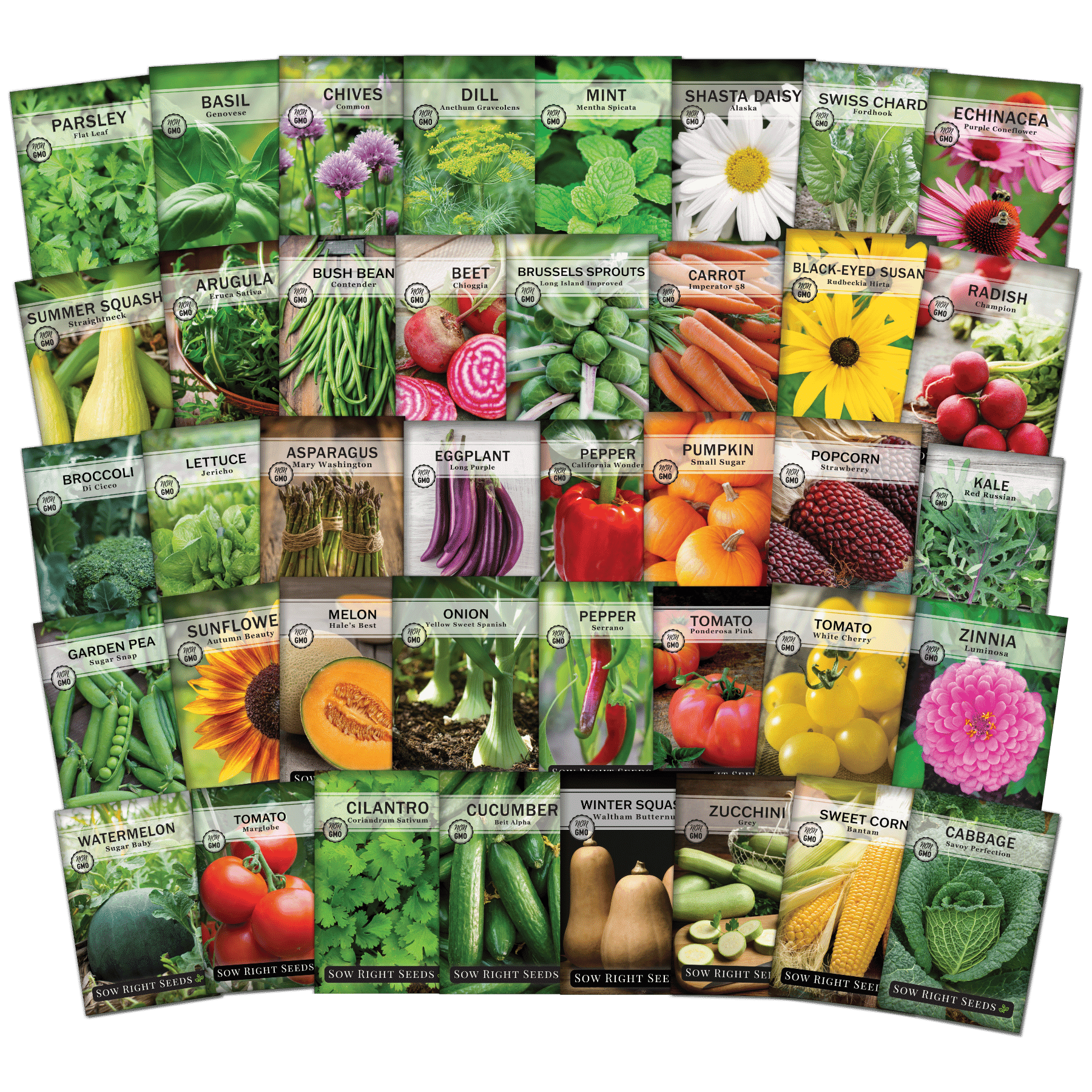Complete Garden Seed Collection - Non GMO Varieties - 40 Count ...