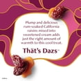 Haagen Dazs Rum Raisin Ice Cream, Gluten Free, Kosher, 14 oz - Walmart.com