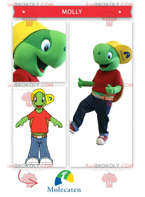 Famous Cartoon Turtle