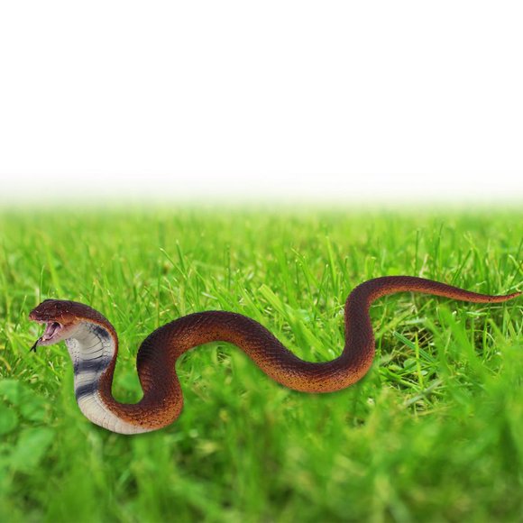 Fake Snakes Scare Birds