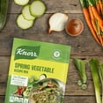 Knorr Spring Vegetable Soup and Recipe Mix, No Artificial Flavors, 0.9 oz - Walmart.com
