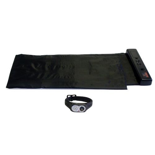 High Tech Pet Radio Mat Dog Scat Pad - Walmart.com