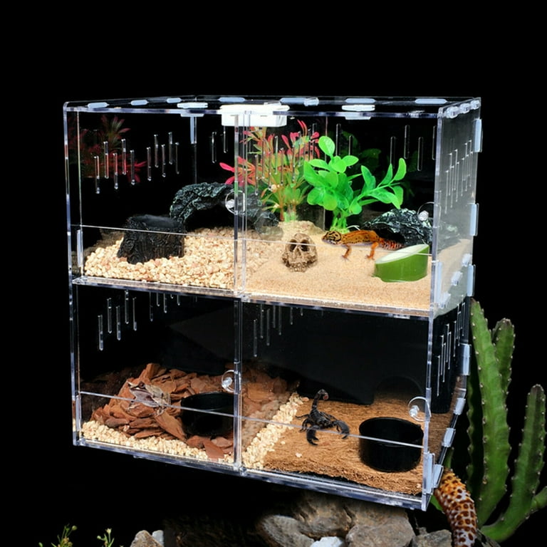 Pet Tarantula Tank