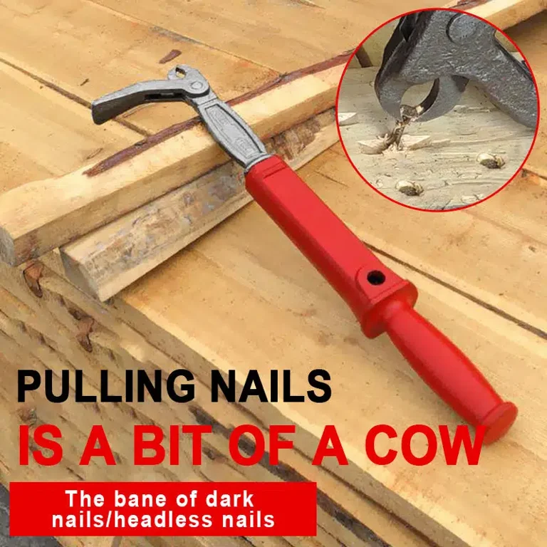 Iron Nail In Wood