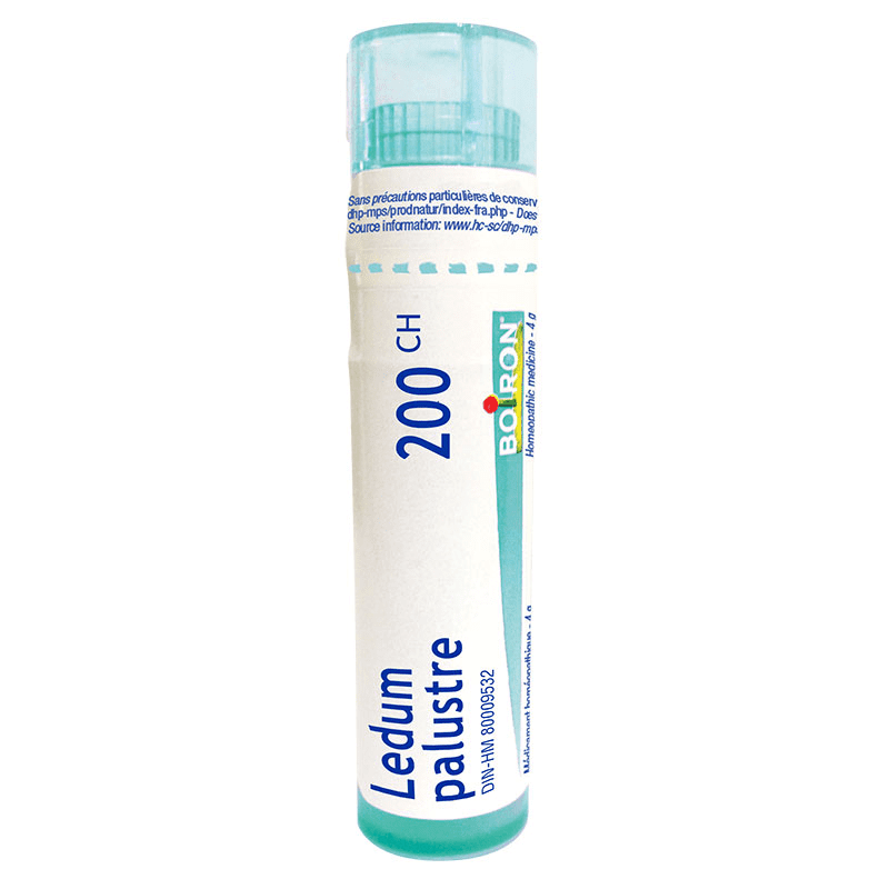 Click here for Boiron Canada Inc. Boiron Ledum Palustre 200ch 4g prices
