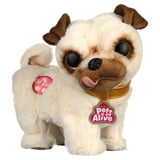 Pets Alive Poppy the Booty Shakin’ Pug – Interactive Dancing Plush ...