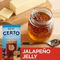 Certo Premium Liquid Fruit Pectin, 8 Pouches of 3 fl oz, Ideal for ...