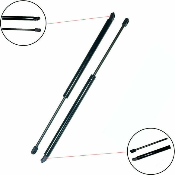 Tahoe Rear Hatch Struts