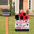 Big Dot of Happiness Happy Little Ladybug - Party Decorations - Baby ...