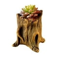Artistic Cement Flowerpots with Tree Root Designs for Creative Home ...