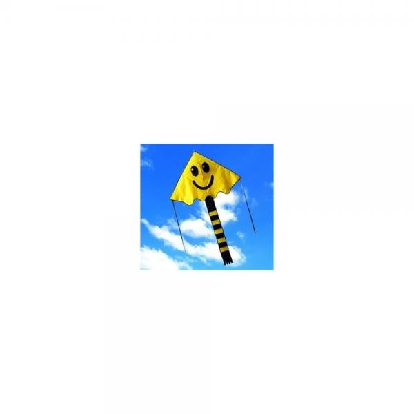 Large Easy Flyer Big Smiley face kite 4 x 7 ft by Weifang New Sky Kites ...