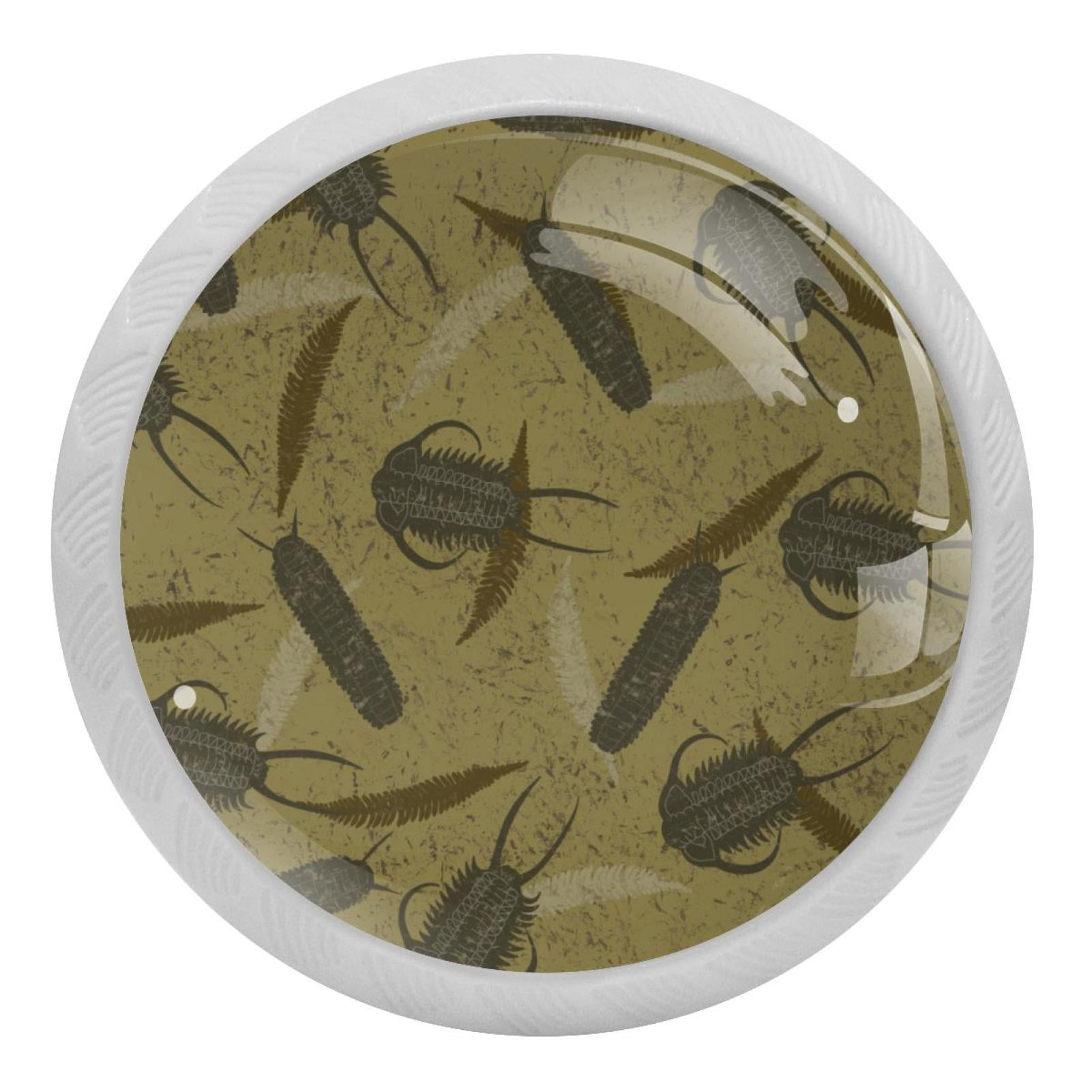 4PCS Round Insect Cabinet Fluorescence Knob Glowing in the Dark ...