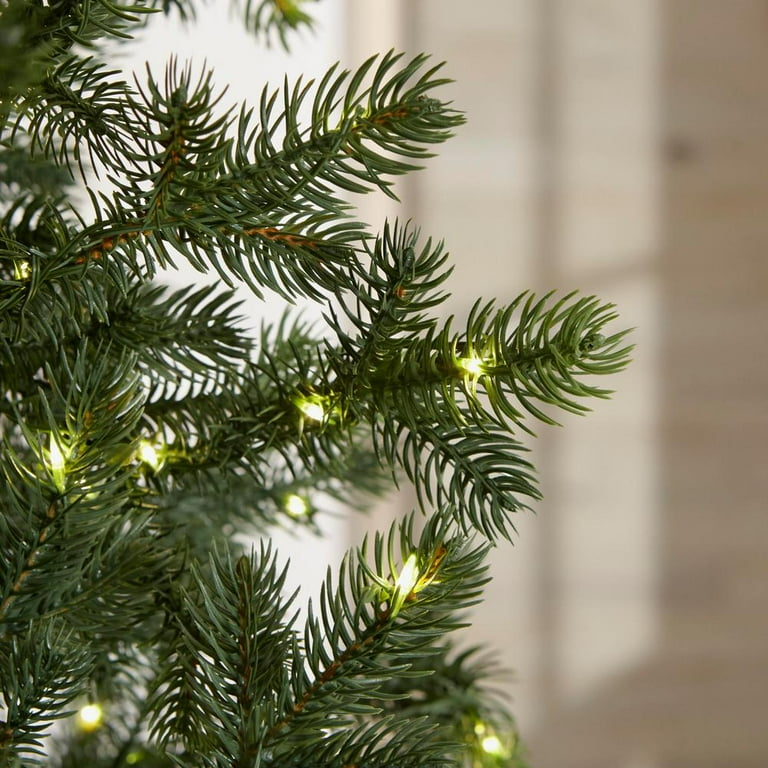 Grand Fir Christmas Tree
