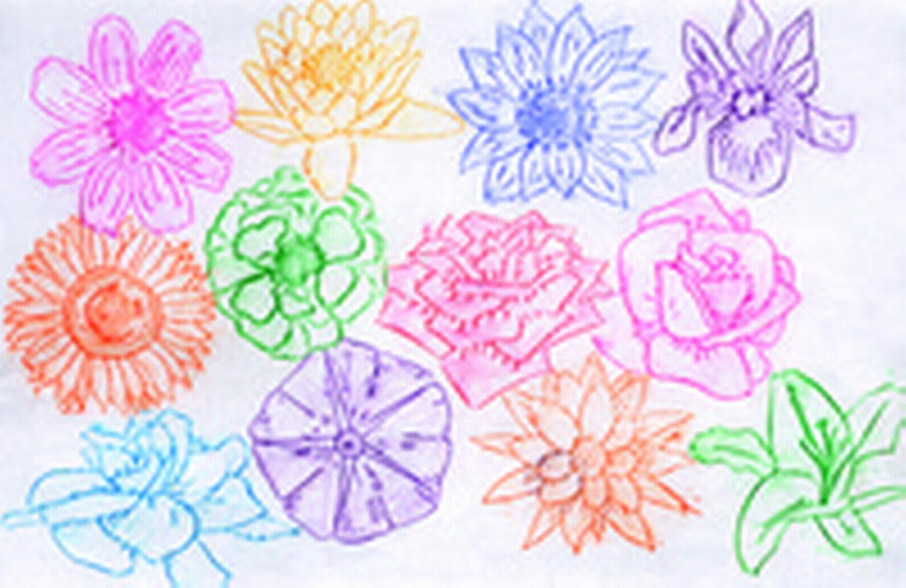 Roylco, RYLR5804, Flower Shape Rubbing Plates, 16 / Pack, Clear ...