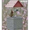 Infinity Bird Feeder - Wild Bird Feeder with 360 Degree View of Feeding ...