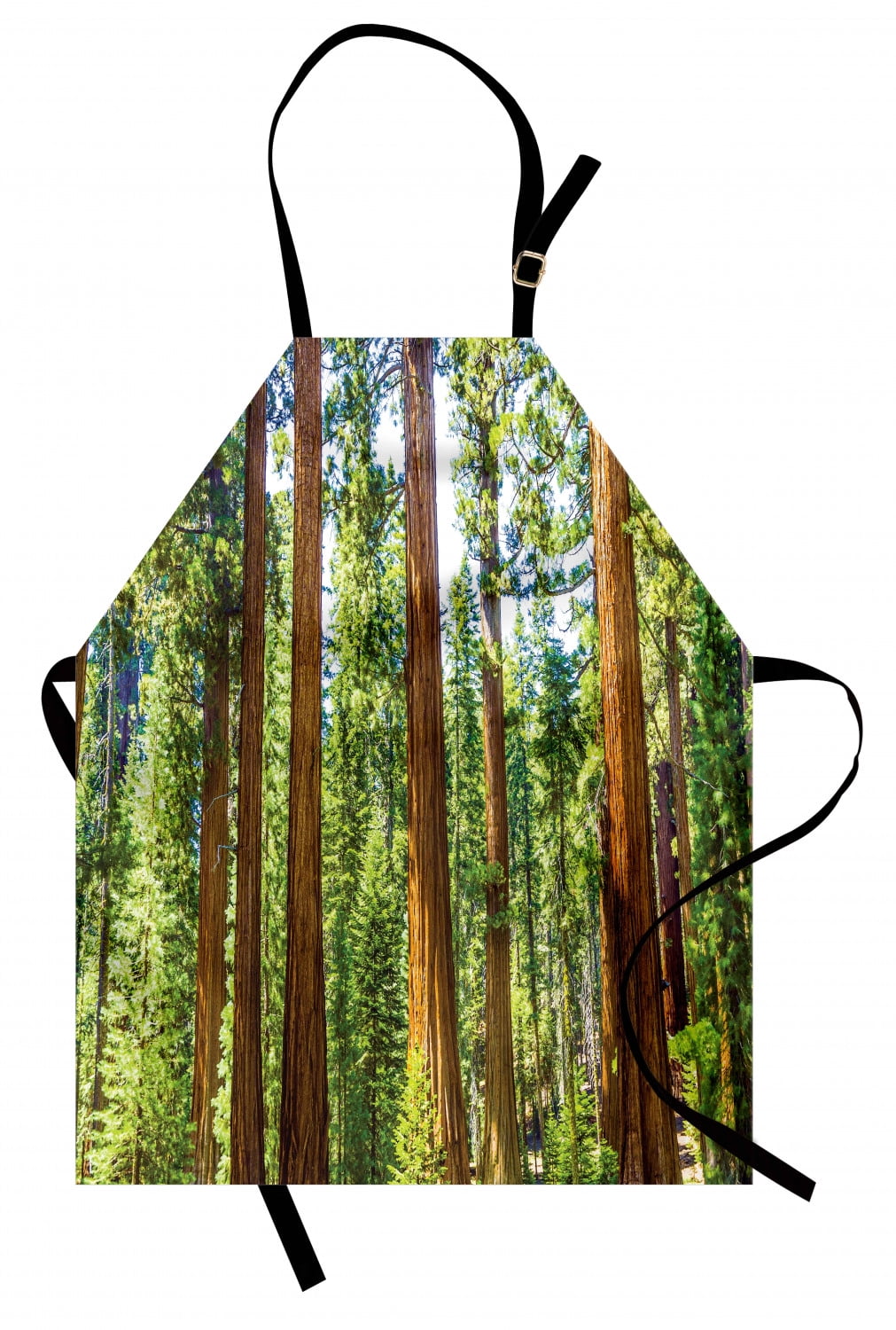 National Parks Apron Up View of Tree Branches in Scenic Springtime ...