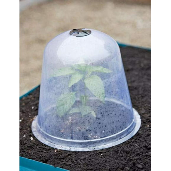 Garden Cloche
