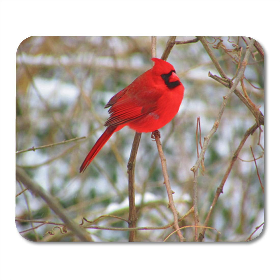 SIDONKU Colorful Cardinal on Limb Red Avian Bird Branch Mousepad Mouse ...