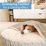 Snoozer Cozy Cave Dog Bed, Extra Large, Olive, Hooded Nesting Dog Bed ...