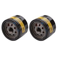 Briggs and Stratton Air Filter (4 of 697029) - Walmart.com