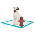 Novvia Fire Hydrant Pet Aid Your Dog Or Cat To Pee And Poop In The ...