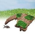 Turtle Basking Platform Tortoise Resting Terrace Climbing Ladder Design ...