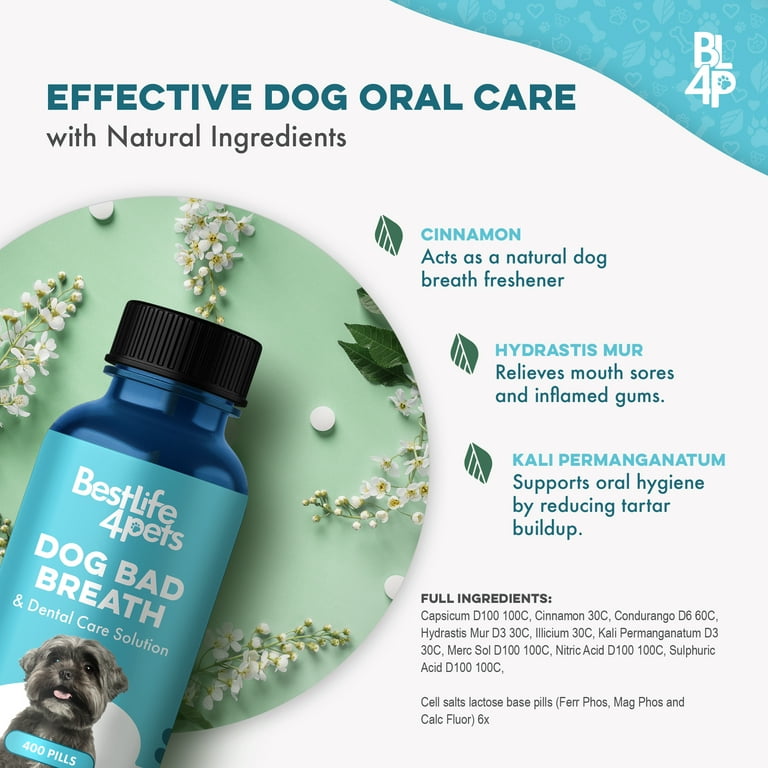 Dog Teeth Cleaning Aazon.co : Pawtitas Natural Dog Toothpaste Powder ...