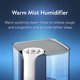 Equate Warm Mist Humidifier, Visible, FIlter Free, White & Blue, Top ...
