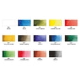 Kuretake Paint Set Transparent Watercolor Set Fiss KG301-1 14 Color Set ...