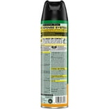 Raid House & Garden Insect Killer Spray, 11 Ounce 3pk, Orange Scent ...