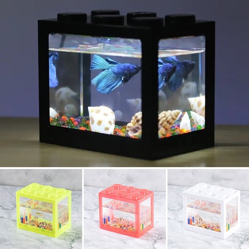 New Fish Tank | ppgbbe.intranet.biologia.ufrj.br