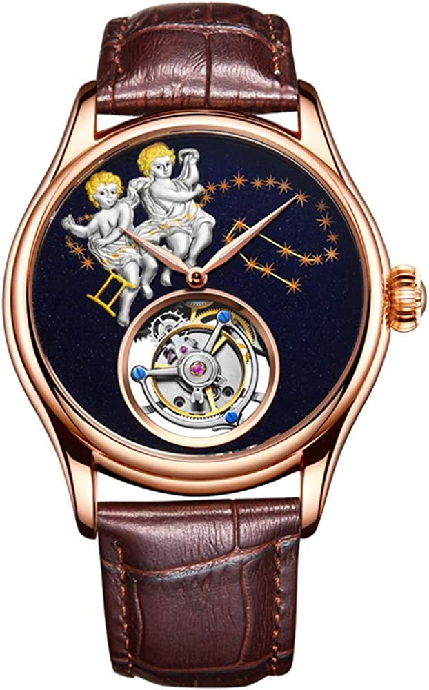 AESOP Men Genuine Mechanical Hand-Wind Skeleton Tourbillon Gemini Wrist ...