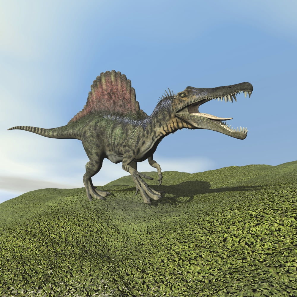 Spinosaurus dinosaur walking on the grass Poster Print (14 x 14 ...