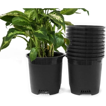 Pro Cal 3 Gallon Size Plant Containers, Premium Nursery Black Plastic ...
