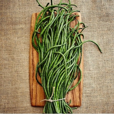 Asian Red Long Bean Seeds for Planting (30 Seeds) - Red Cowpea ...