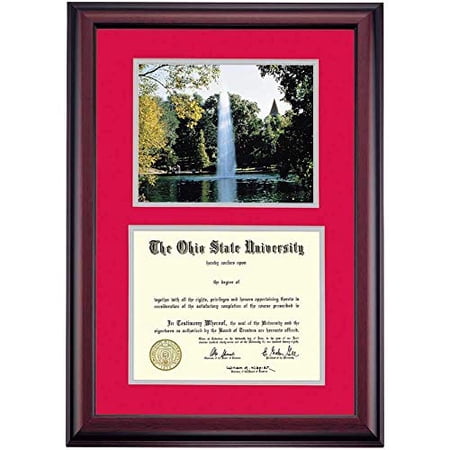 Ohio State Buckeyes Diploma Frame Scarlet Gray Matting Photograph ...