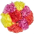 Fresh Cut Rainbow Carnations, Colors Vary - Walmart.com