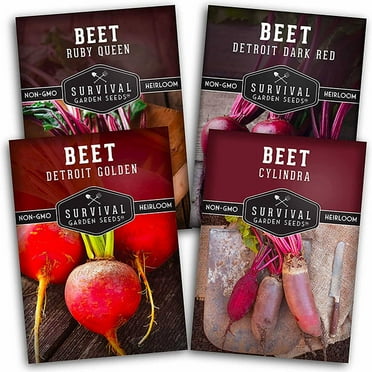 Everwilde Farms - 1 lb Detroit Dark Red Beet Seeds - Gold Vault Bulk ...