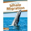 The Boy Who Met a Whale (Hardcover) - Walmart.com