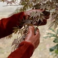 Rose Pruning Thorn Proof Gardening Gloves, Long Sleeve Puncture Proof ...