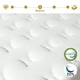 Yilicy 12 inch Queen Mattress, Gel Memory Foam & Spring Hybrid Medium ...