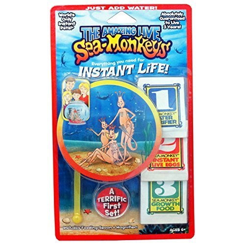 Sea Monkeys Kit Walmart