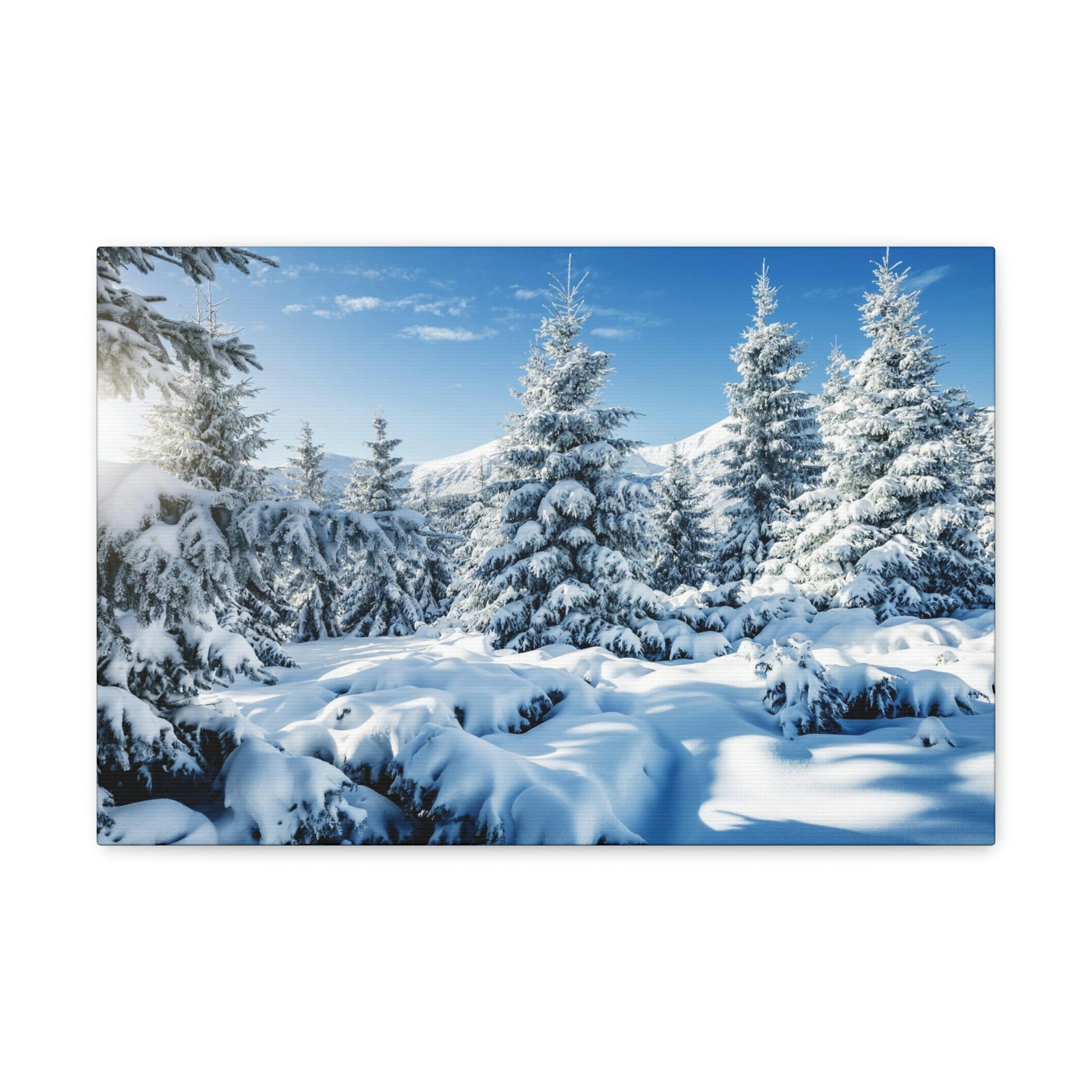 Beautiful Nature Scenery Snow