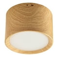 Sunjoy Tech LED Downlight High Brightness Wood Grain Low-Power ...