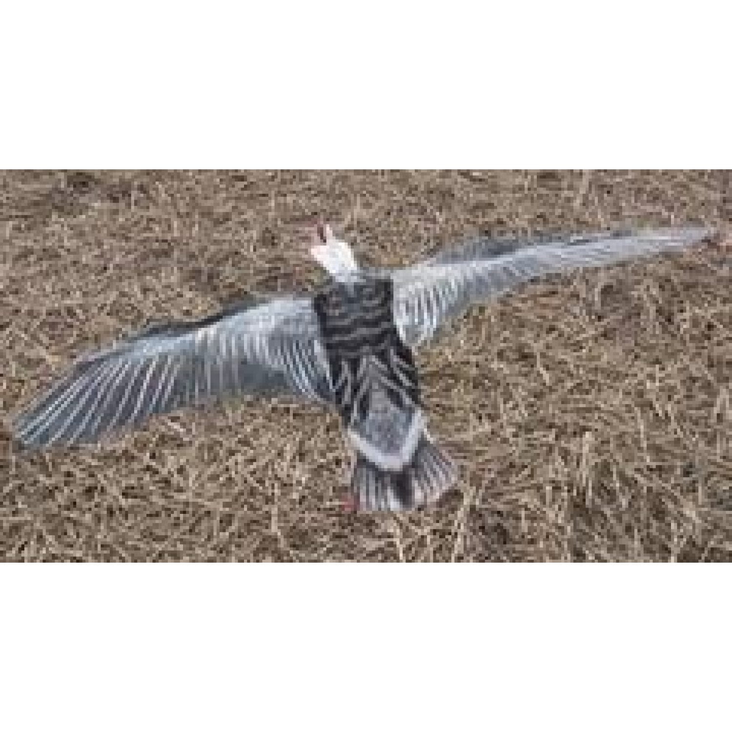 CintBllTer Flapping Blue Goose Decoy - Walmart.com