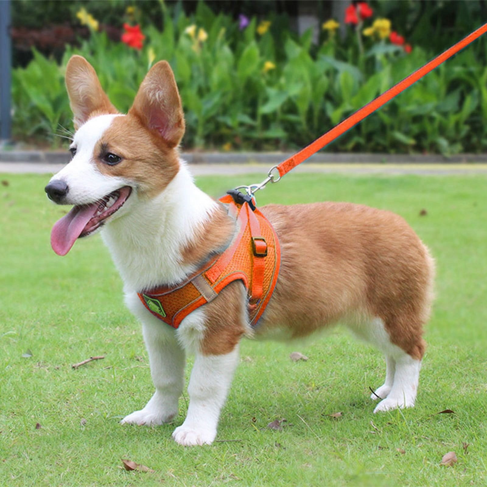 Click here for Chenjiaaa Pet Harness Reflective Breathable Dog Le... prices